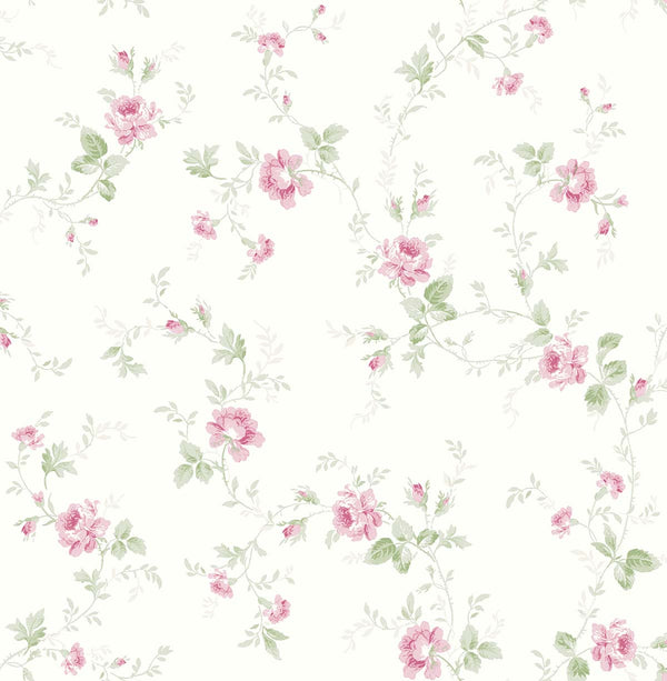 Audette Fashion Rose Wallpaper | Wallquest — Primetime Paint & Paper