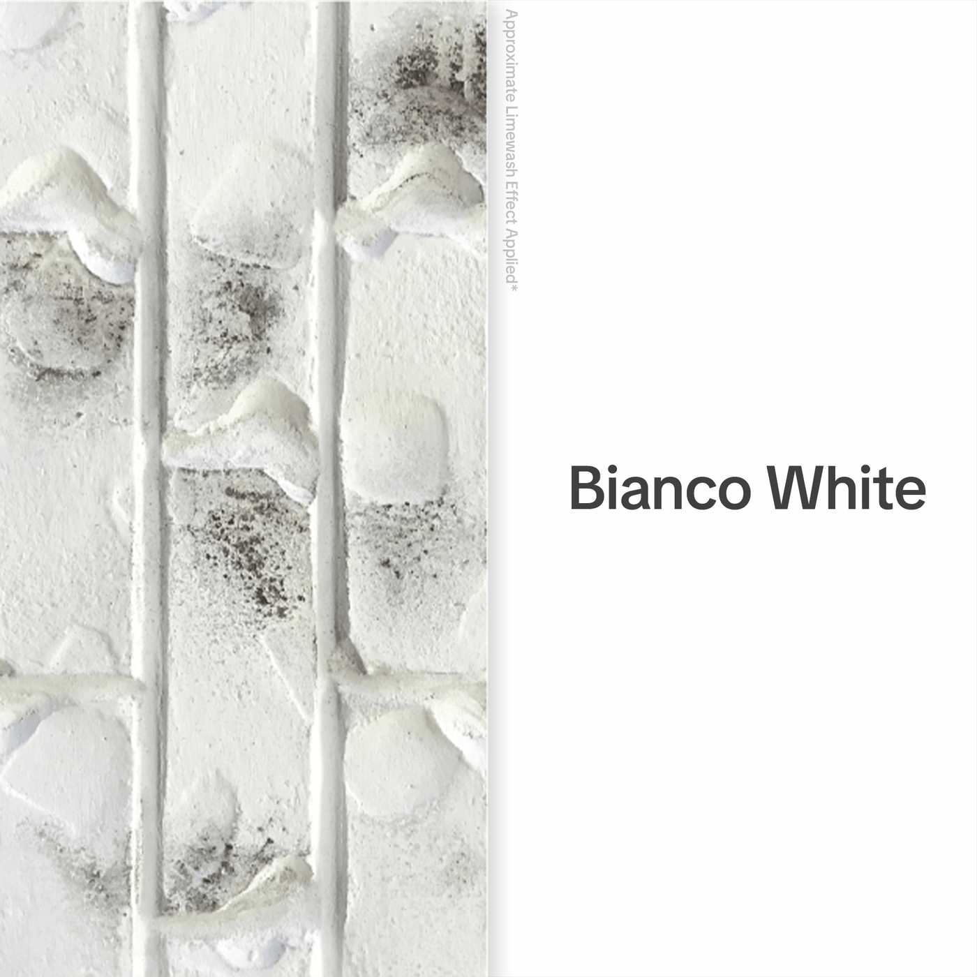 Romabio | Classic Limewash — Primetime Paint & Paper