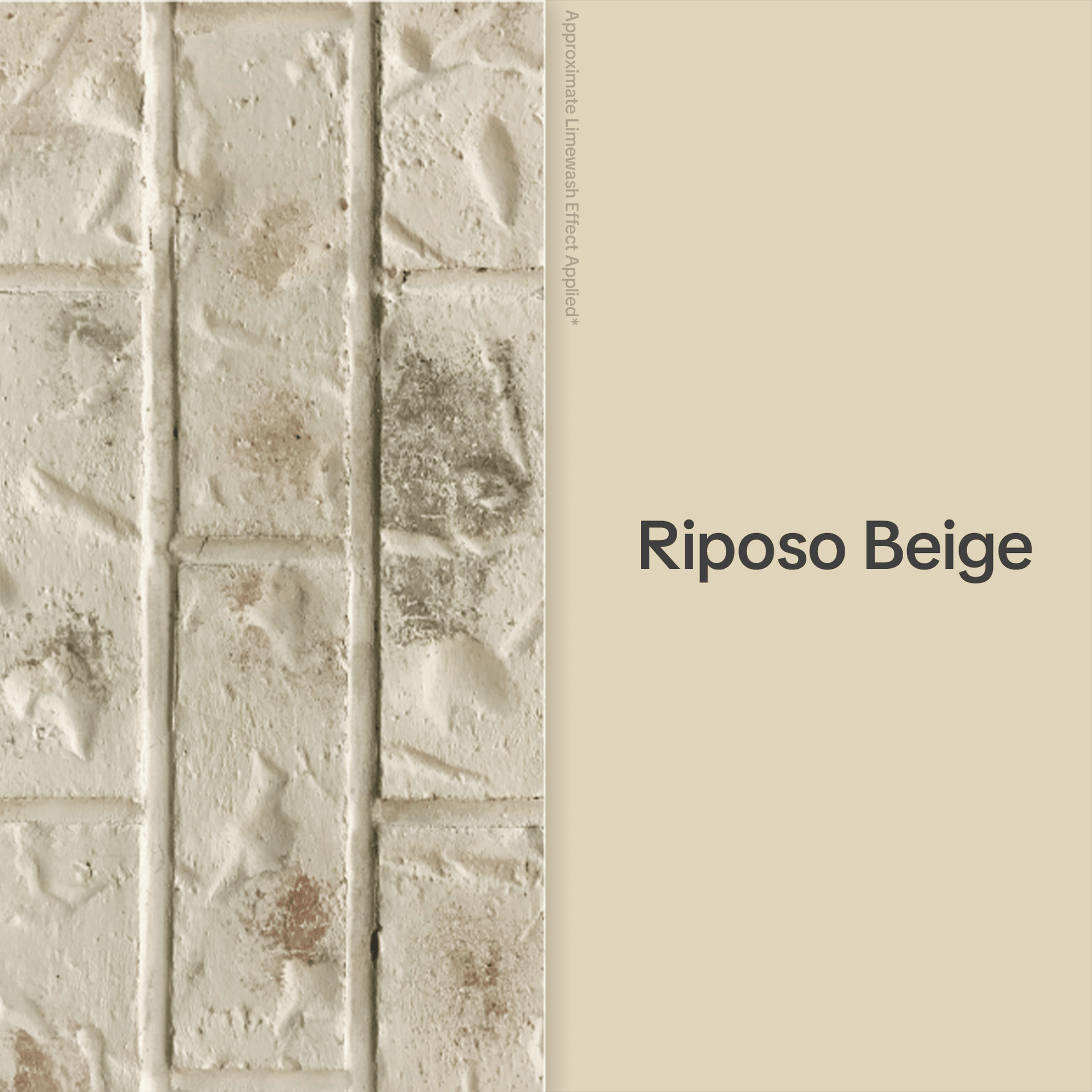 Romabio | Classic Limewash — Primetime Paint & Paper