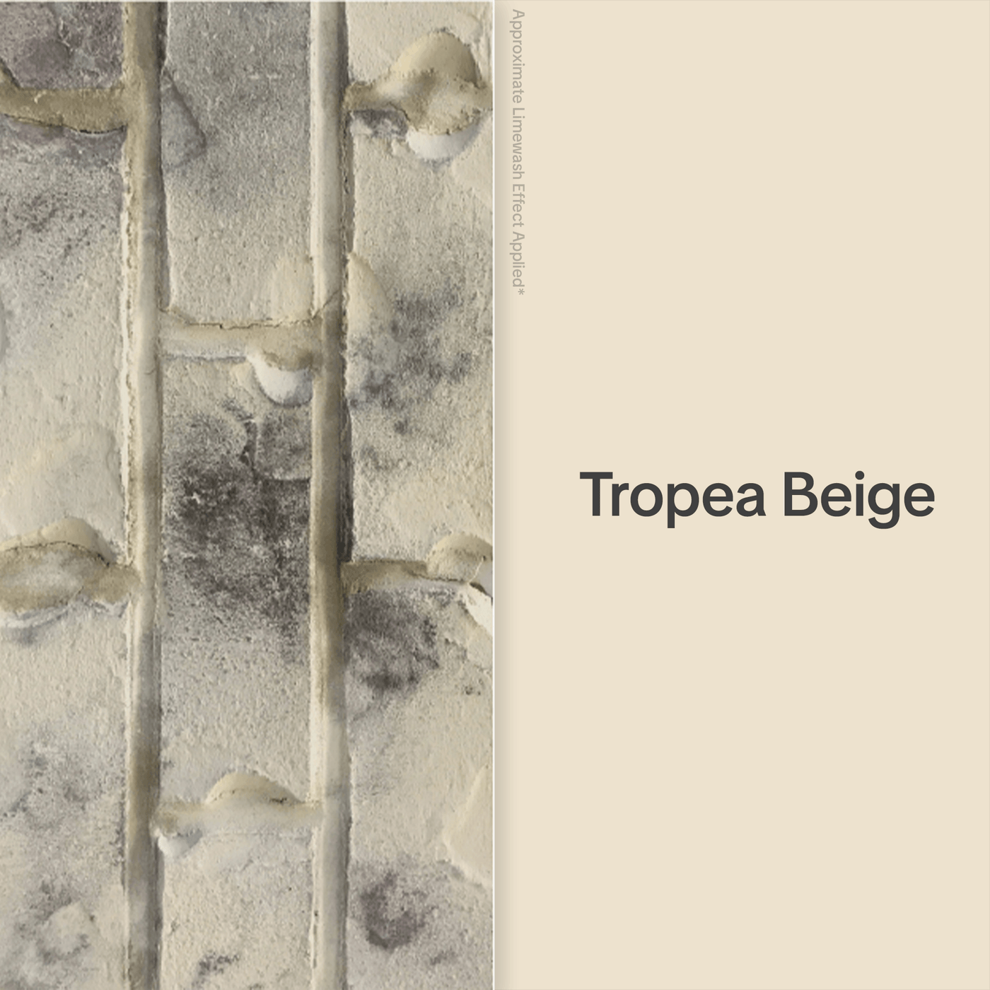Romabio | Classic Limewash — Primetime Paint & Paper